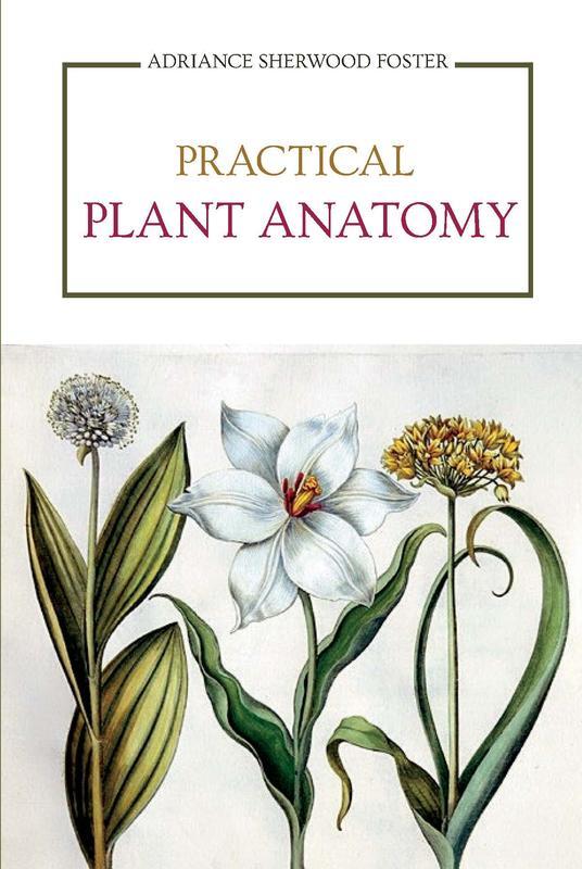 Bookscape | PRACTICAL PLANT ANATOMY